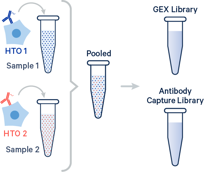 Universal 3' and 5' Multiplex Gene Expression, V(D)J, & Feature Barcode Analysis with Cell ...